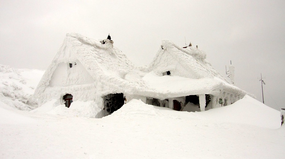 Surviving Extreme Cold and Winter Storms! - The Climate Advisor